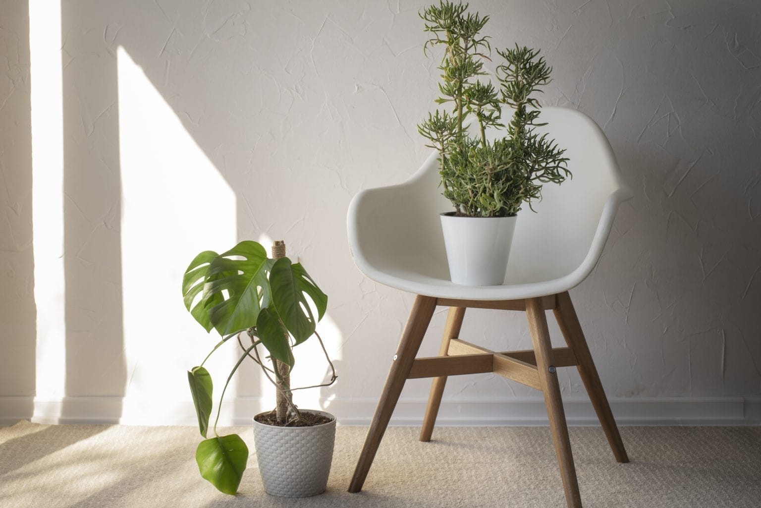 Plants in Interior Design: Beautifying Interiors with Greenery | Luxury ...